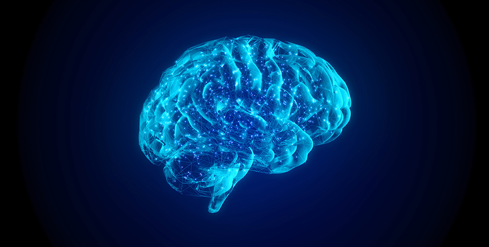 Huperzine A: Unlocking Brain Potential and Beyond