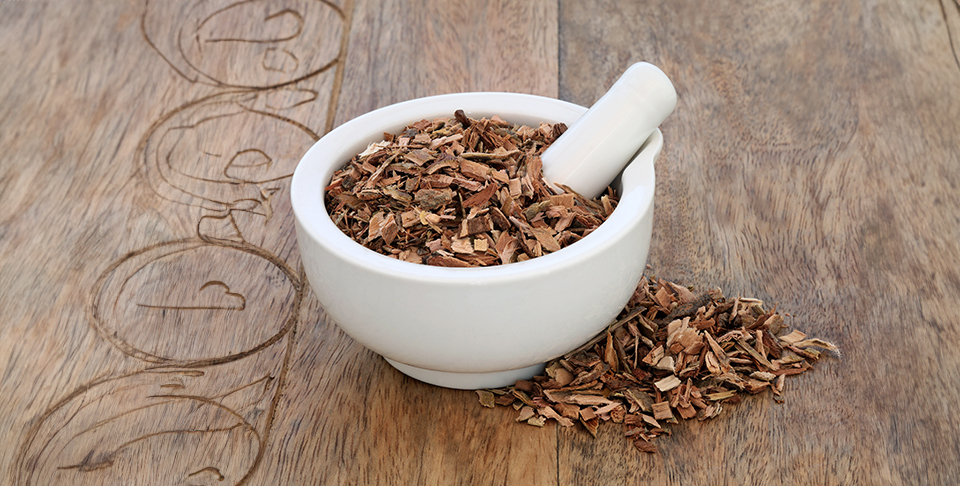 Willow Bark (Salicin): A Natural Supplement for Fat Loss