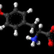 L-Tyrosine: Benefits, Dosage, Timing, Side Effects and Supplements