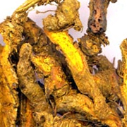 Berberine Supplements: Benefits, Facts, Dosage & Side Effects