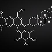 Protodioscin: Benefits, Testosterone, Supplements, Side Effects...