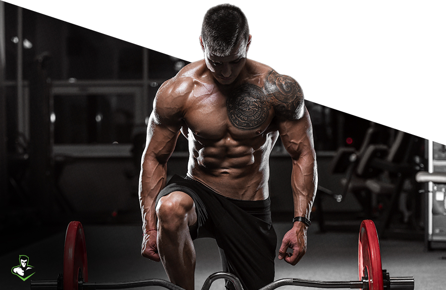 Tongkat Ali & Fadogia Agrestris Stack By Underground Labs