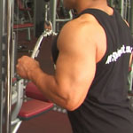 Tricep V Bar Pushdown Exercise Technique - MrSupplement.com.au